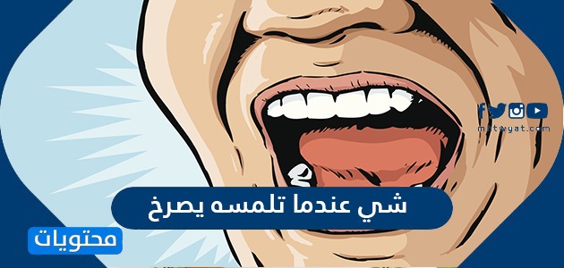 شي عندما تلمسه يصرخ - موقع محتويات