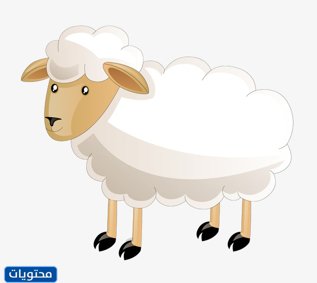 صور خروف العيد كرتون 2024 جاهزة للطباعة 1445 موقع محتويات