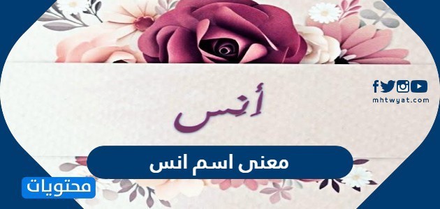 معنى اسم انس وصفات حاملة الاسم وحكم التسمية به في الإسلام - موقع محتويات