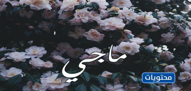 معنى اسم ماجي وصفات حامل الاسم وحكم التسمية به في الإسلام - موقع محتويات