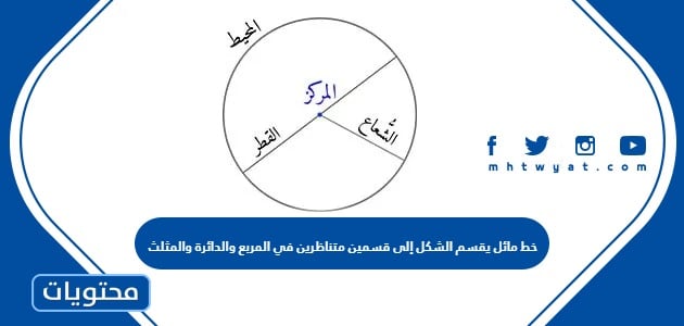 خط مائل يقسم الشكل إلى قسمين متناظرين في المربع والدائرة والمثلث - موقع ...