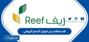 رابط تسجيل الدخول إلى منصة ألف التعليمية moe.alefed.com - موقع محتويات